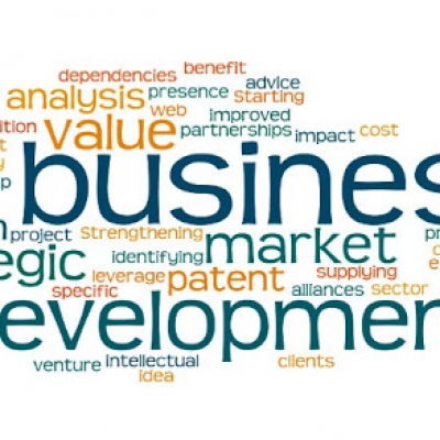 What is business development? | Eduway